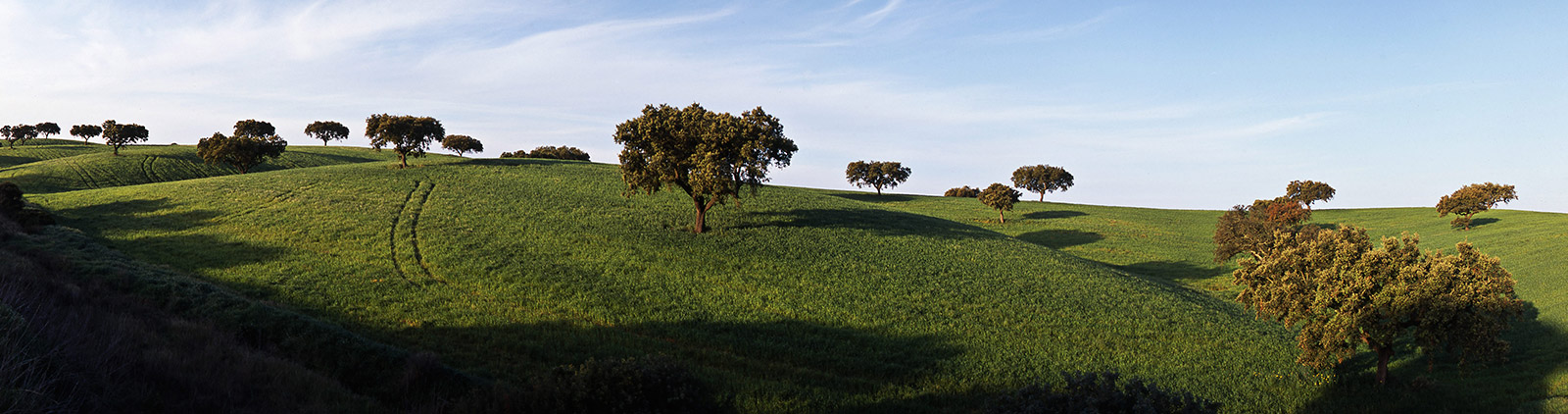 About Us | Montado - Cork Fashion Made in Portugal